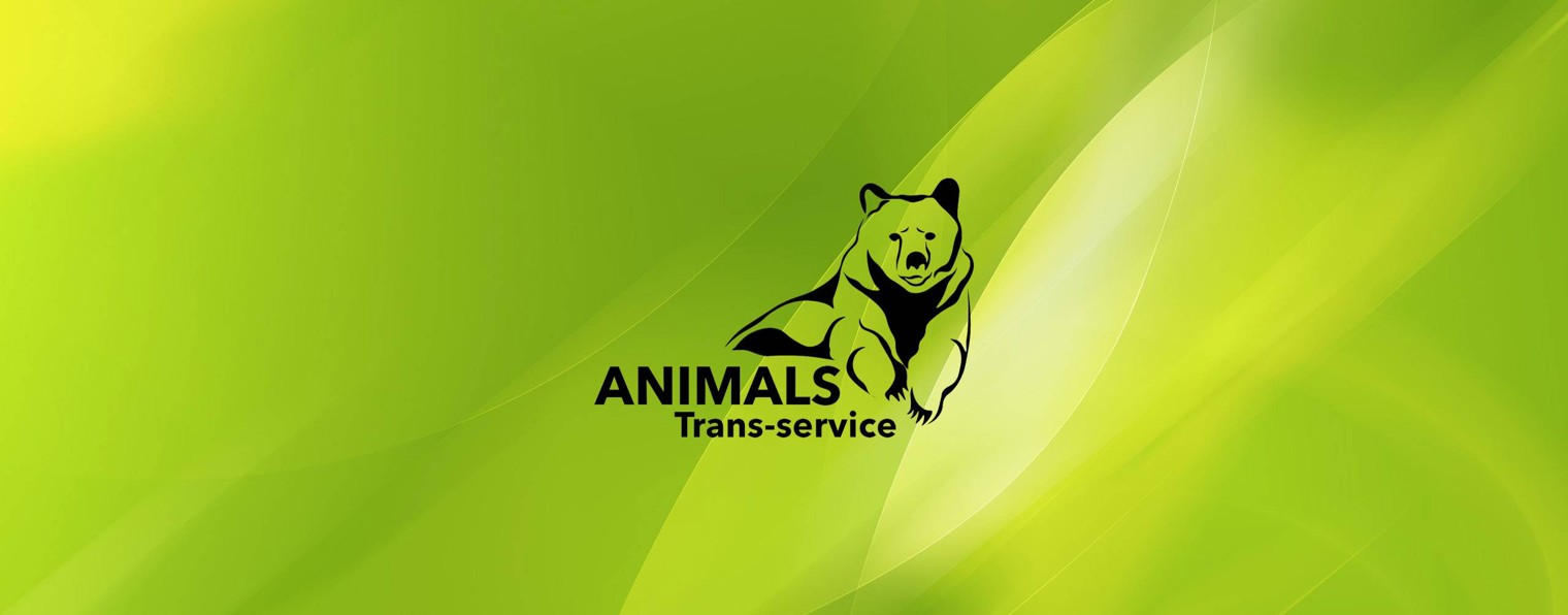 Артем Зверев