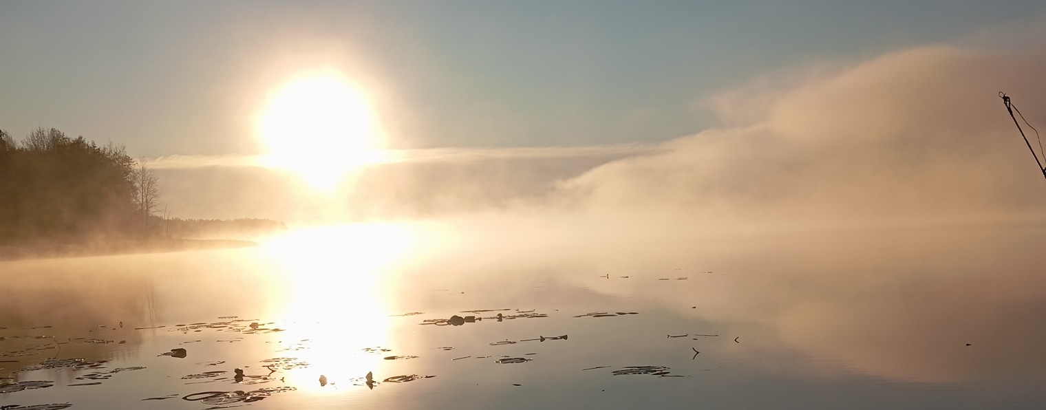 Звериными тропами