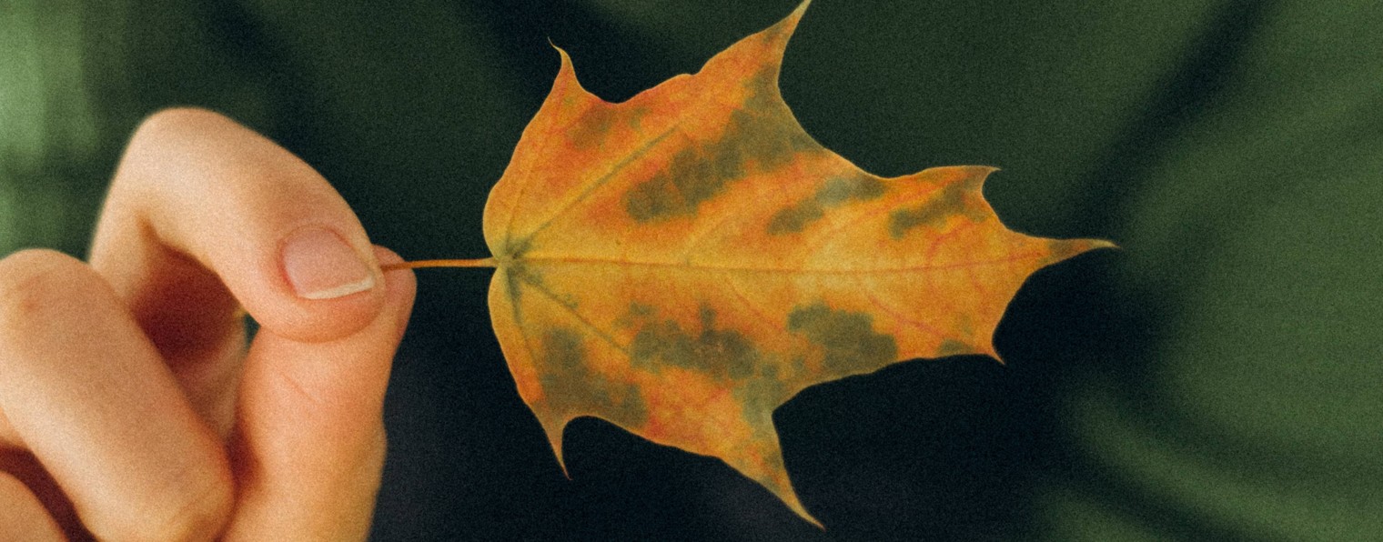 Психолог Коновалова | Тревога, невроз