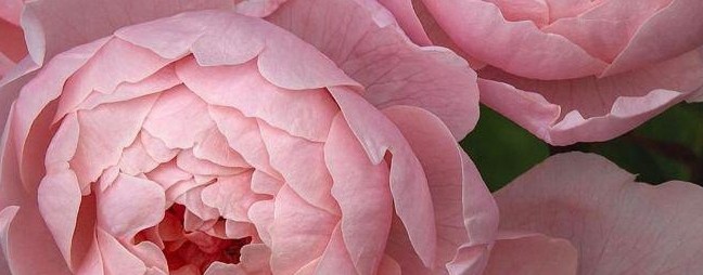 готовим вместе