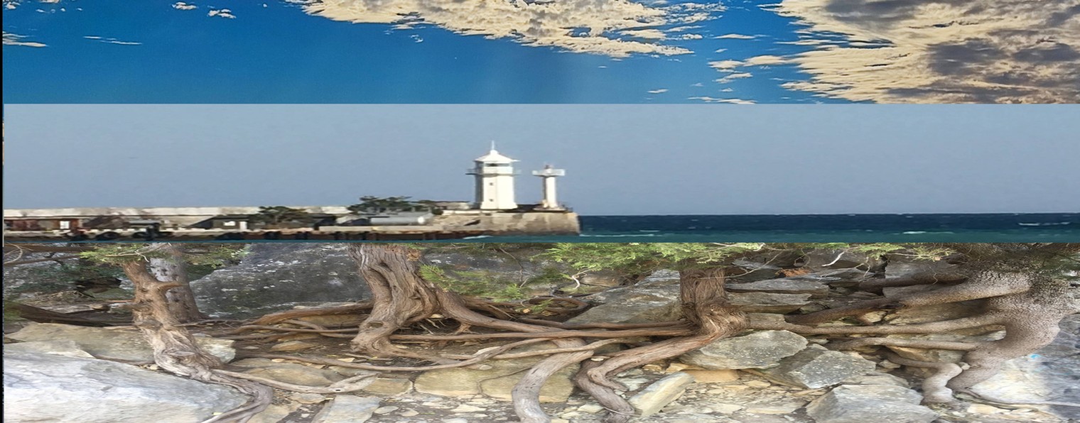 Дедушкины видосики