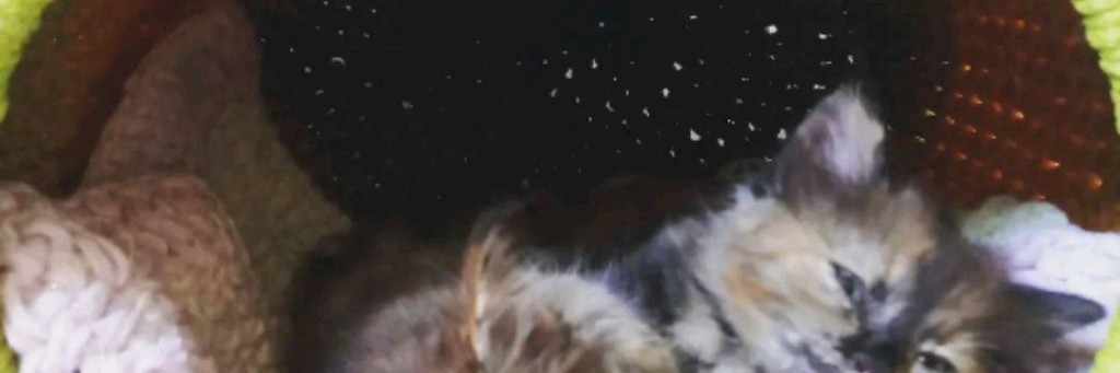 Леонелла_Фëдоровна_Басманная