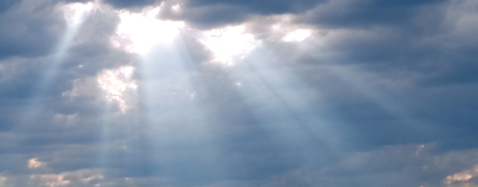 Светлана Стóян