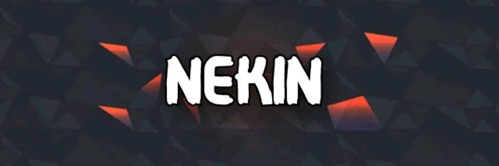 Nekin