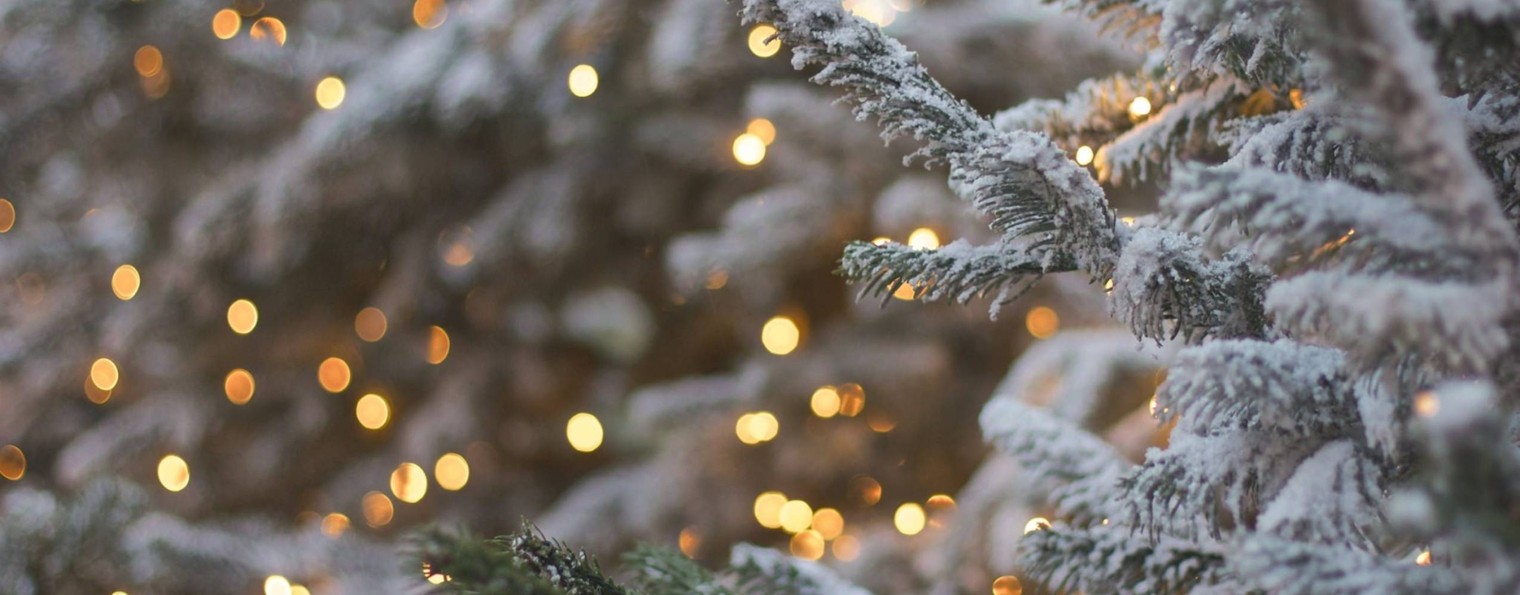 Елизавета Перевощикова