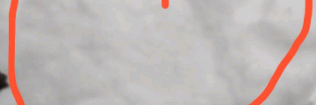 Азат Закиевич