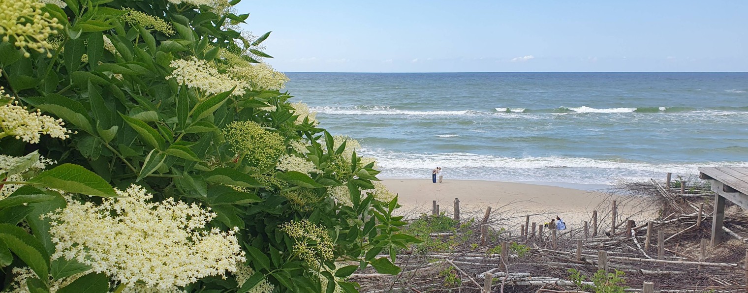 Valentinka.Pisem.Net