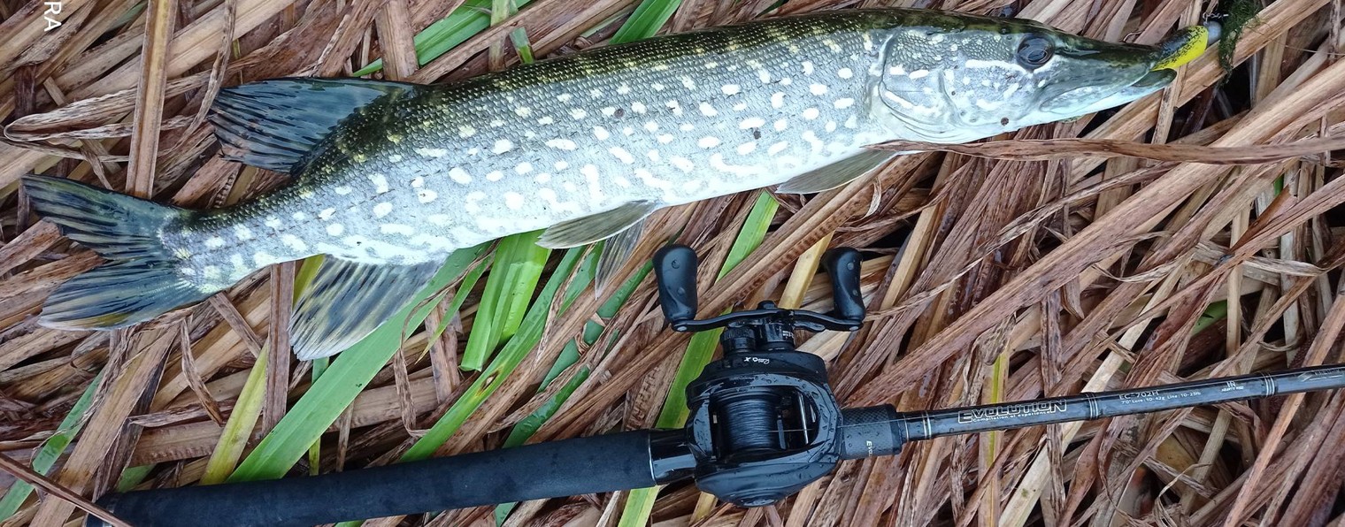 Рыбалка выходного дня