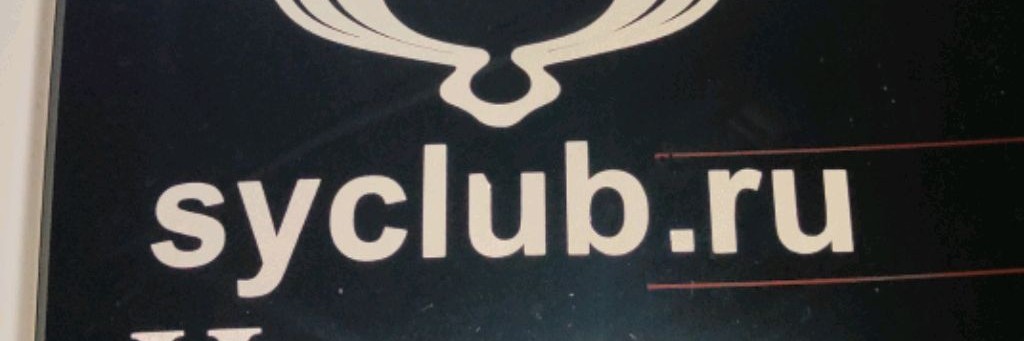 SY New Actyon Тамбов