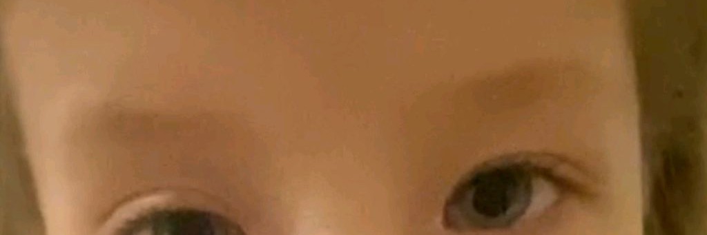 Вишня мишня