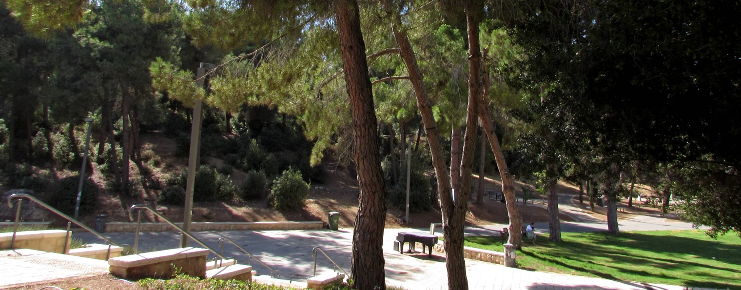 Десять минут о биологии