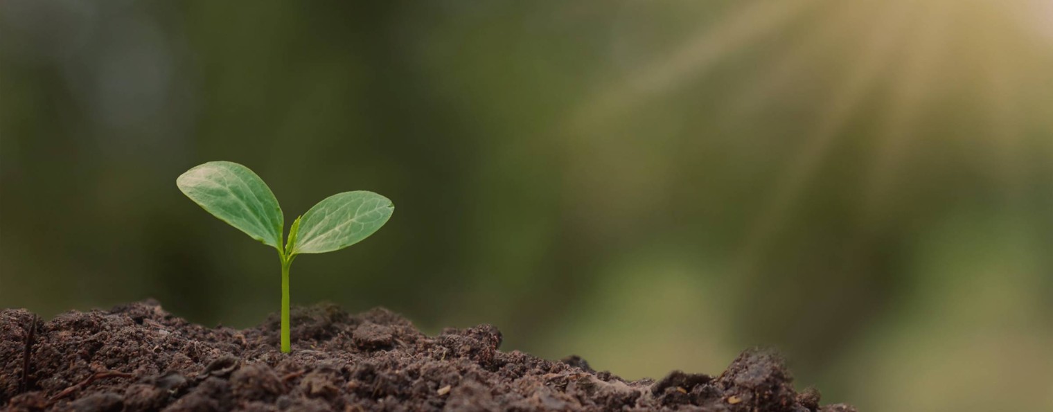 Секреты Успеха