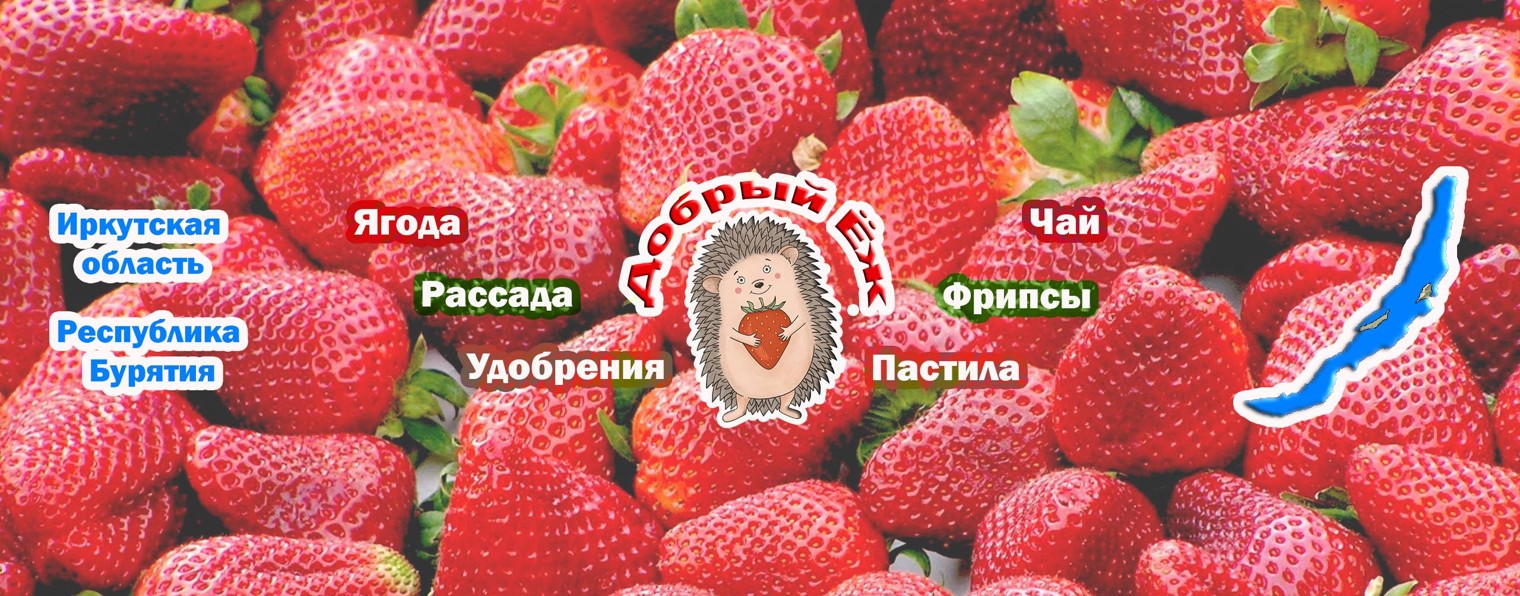 dobryi.yozh.38