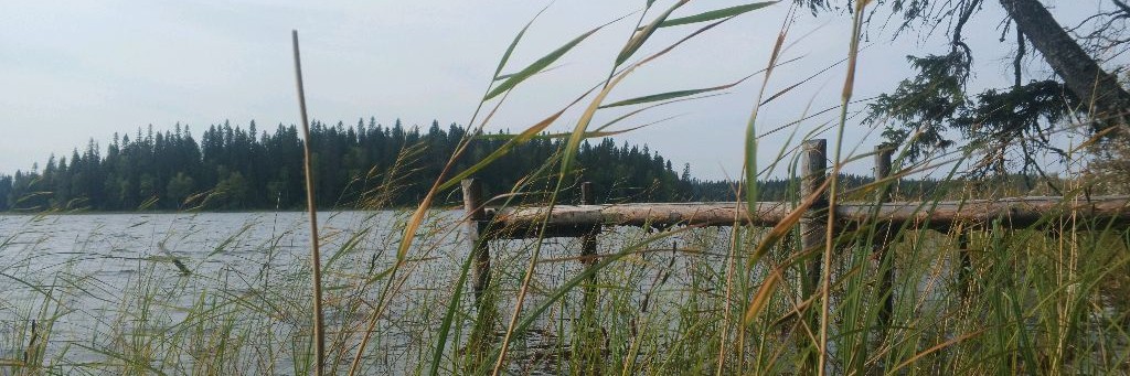 Помор Трескоедов