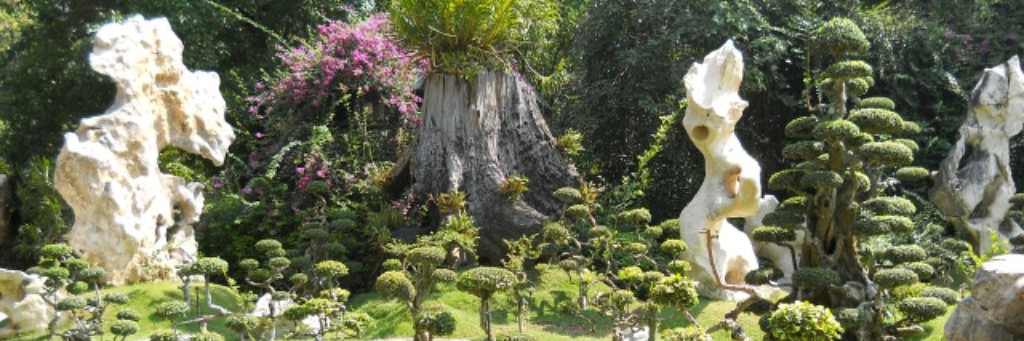 Хищные Растения Игоря Дворянцева