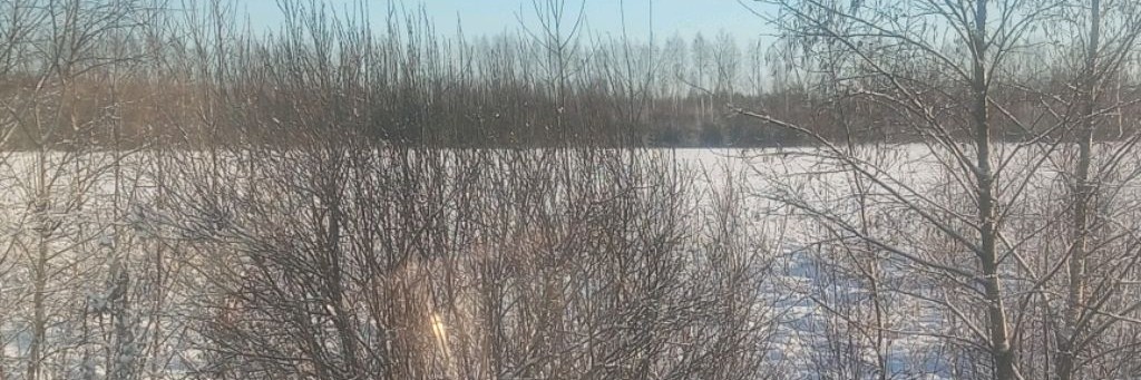 Супер Семейка