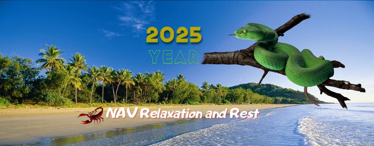 NAV Relaxation Rest