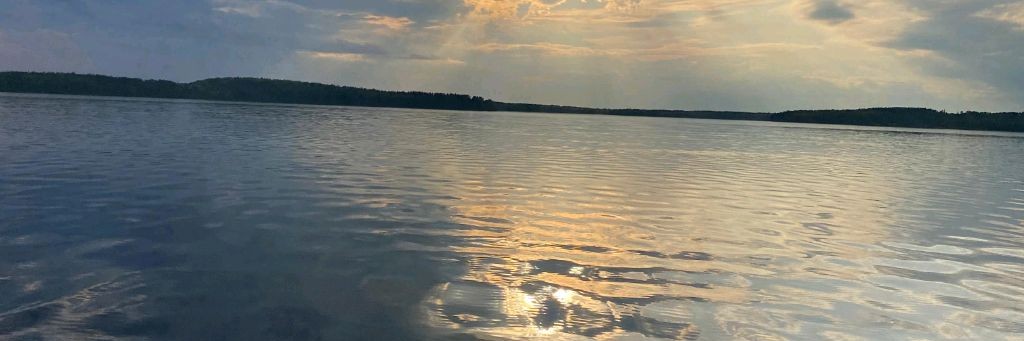 Александр Живой