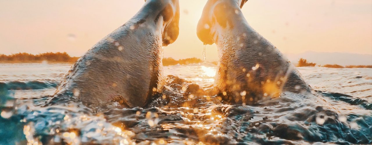 Infinite Balance Witness