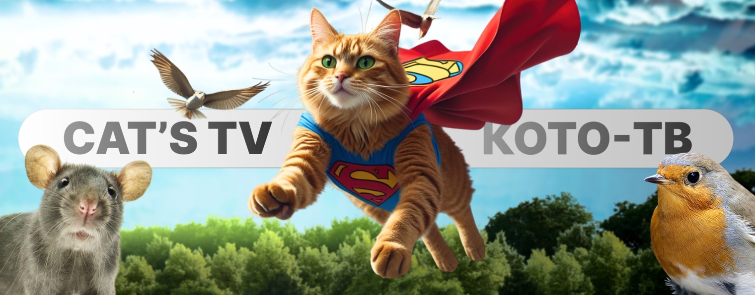 CATS TV | CAT TV | МУЛЬТИКИ ДЛЯ КОТОВ | КОТО ТВ