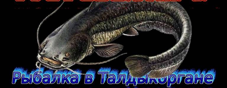 Рыбалка в Талдыкоргане