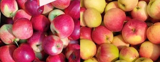 Деревенские будни и праздники