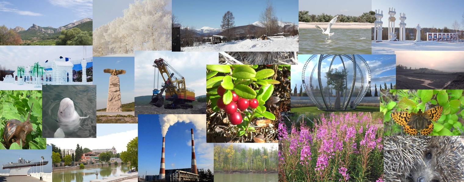 МИР УДИВИТЕЛЬНЕЕ СНОВ