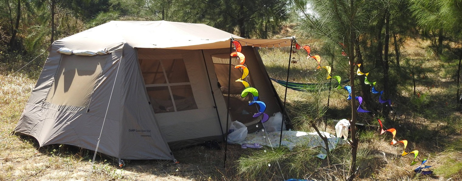 Crazy Mad Wild Campers