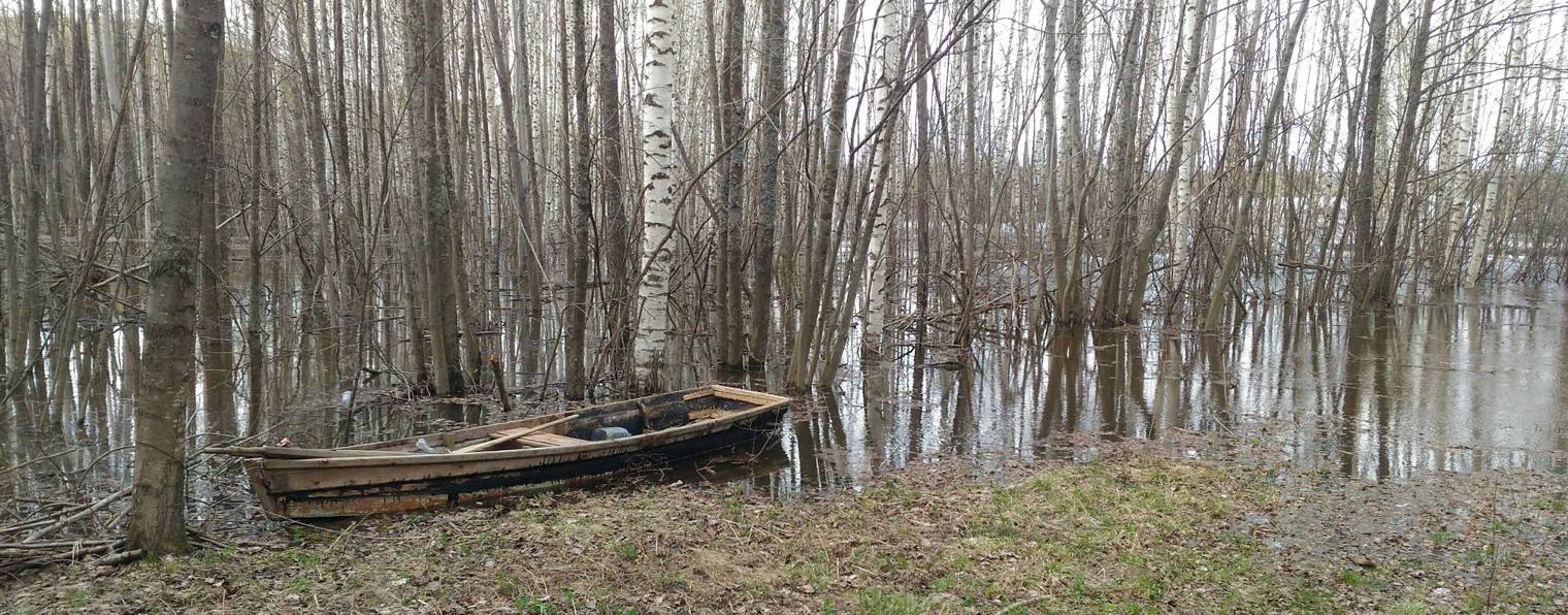 Александр Буянов
