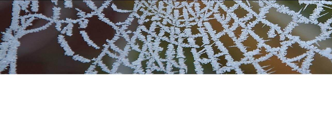 Уже сейчас...