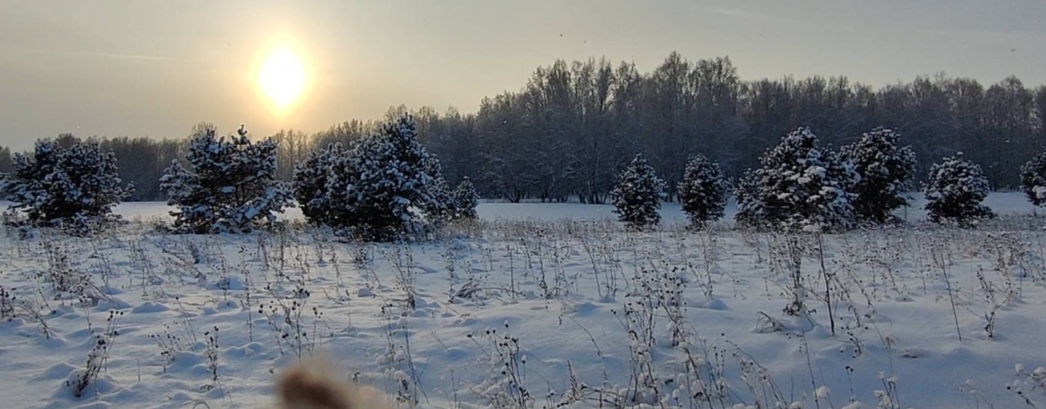 Николай Кора