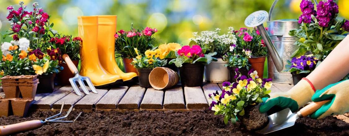 Загородный мир