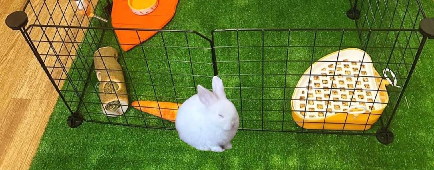 Зайчик Шуша