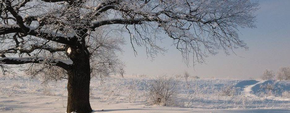 Возможно ВСЁ!