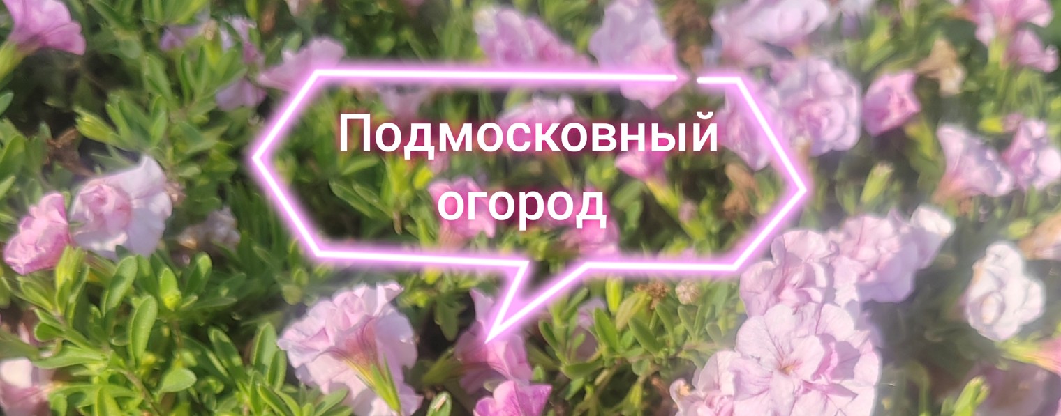 Подмосковный огород