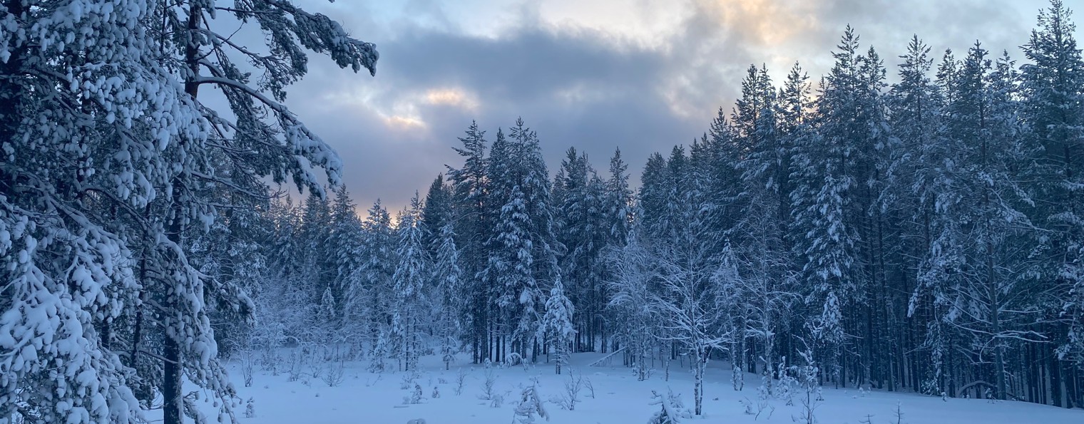 Валерий Пономарев