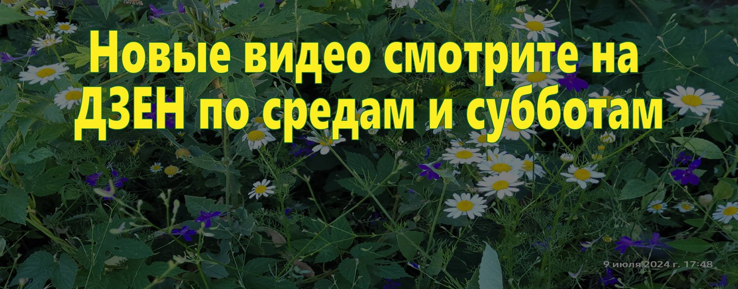 неБонсай по-русски