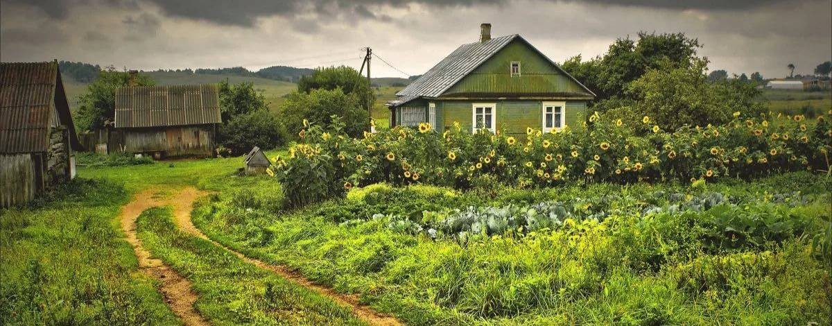 ДЕРЕВЕНСКИЕ БУДНИ 138 !!!