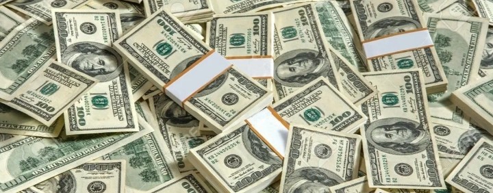 24 попугая и Я