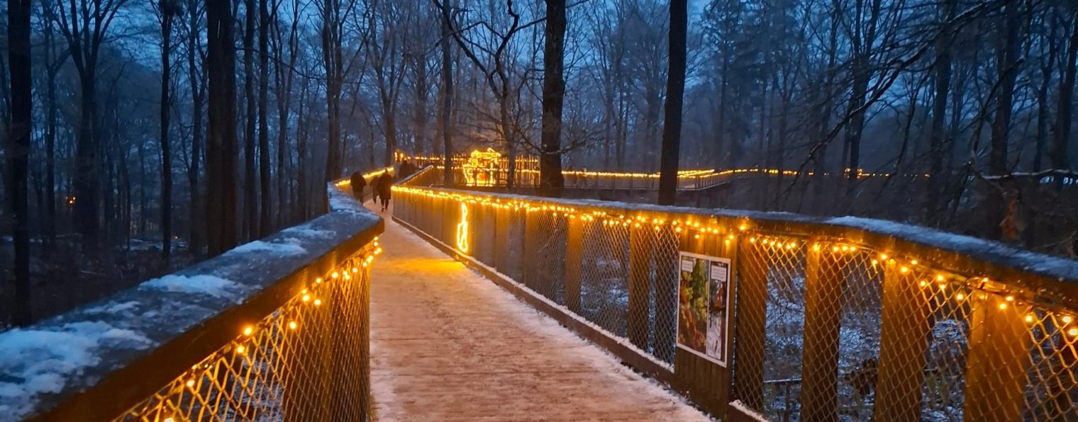 Студия канал плюс