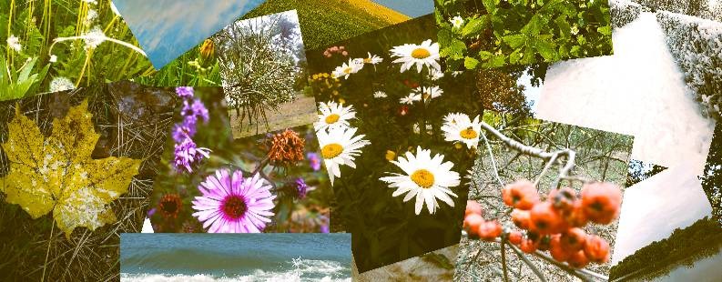 Ряскова Т.С.