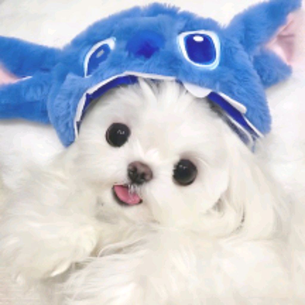 🎀Ритусик Милусик🎀