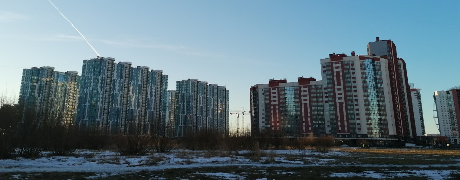 Тля