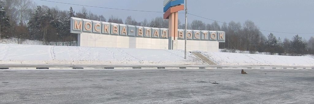 Александр Трошин