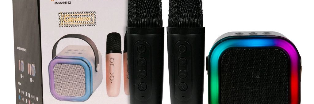 Оригинальная Караоке Колонка С Микрофоном Gipoteza