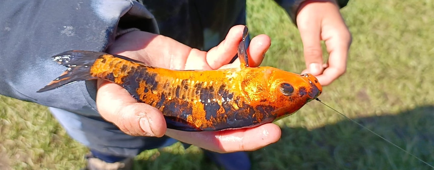 Чем заняться школьнику