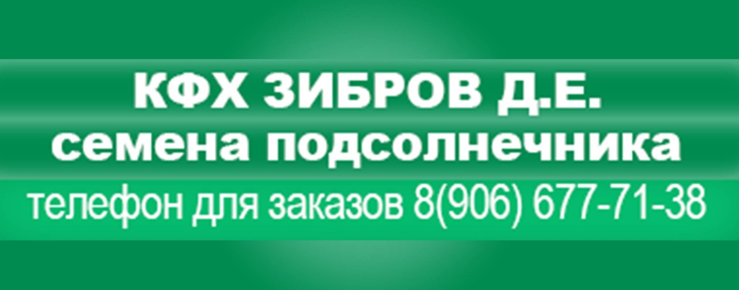 Семена подсолнечника и кукурузы