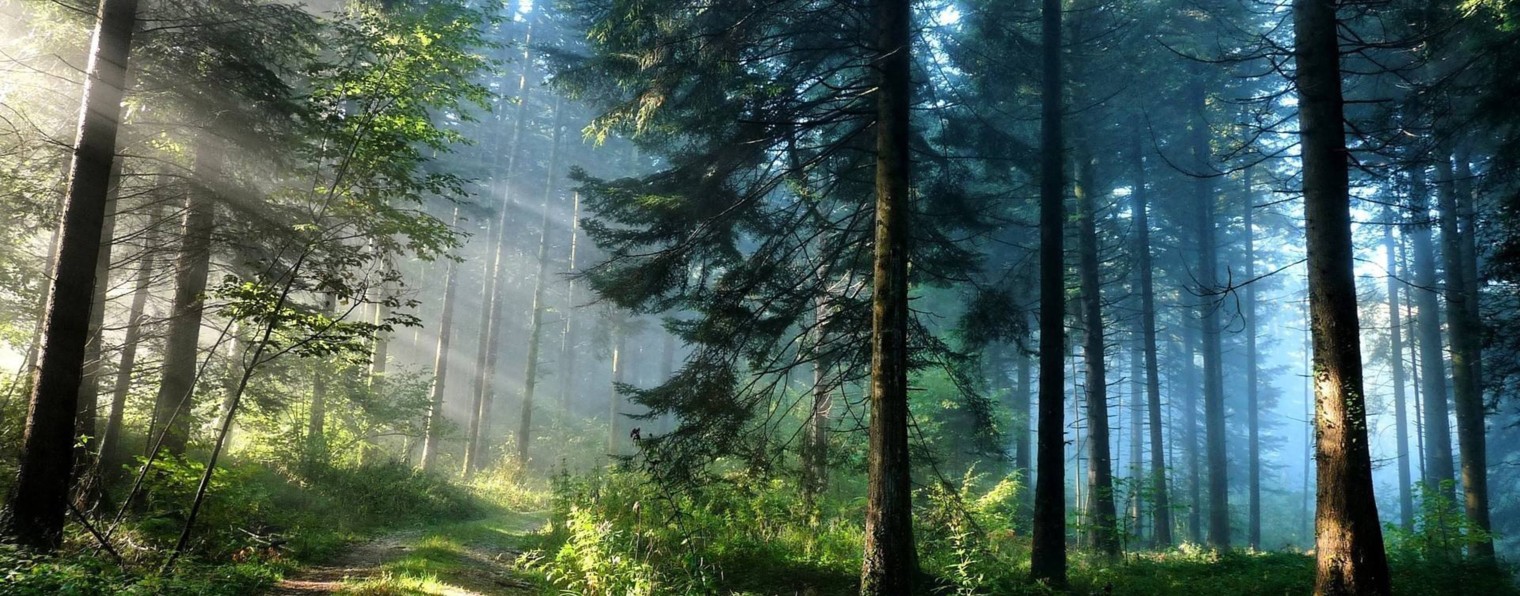 Александр Пашков 1970