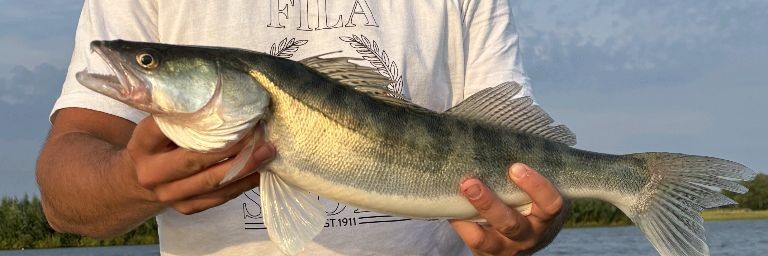 Рыбалка С Шуриком