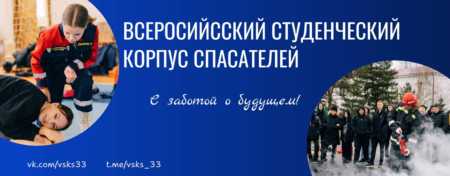 ВСКС33